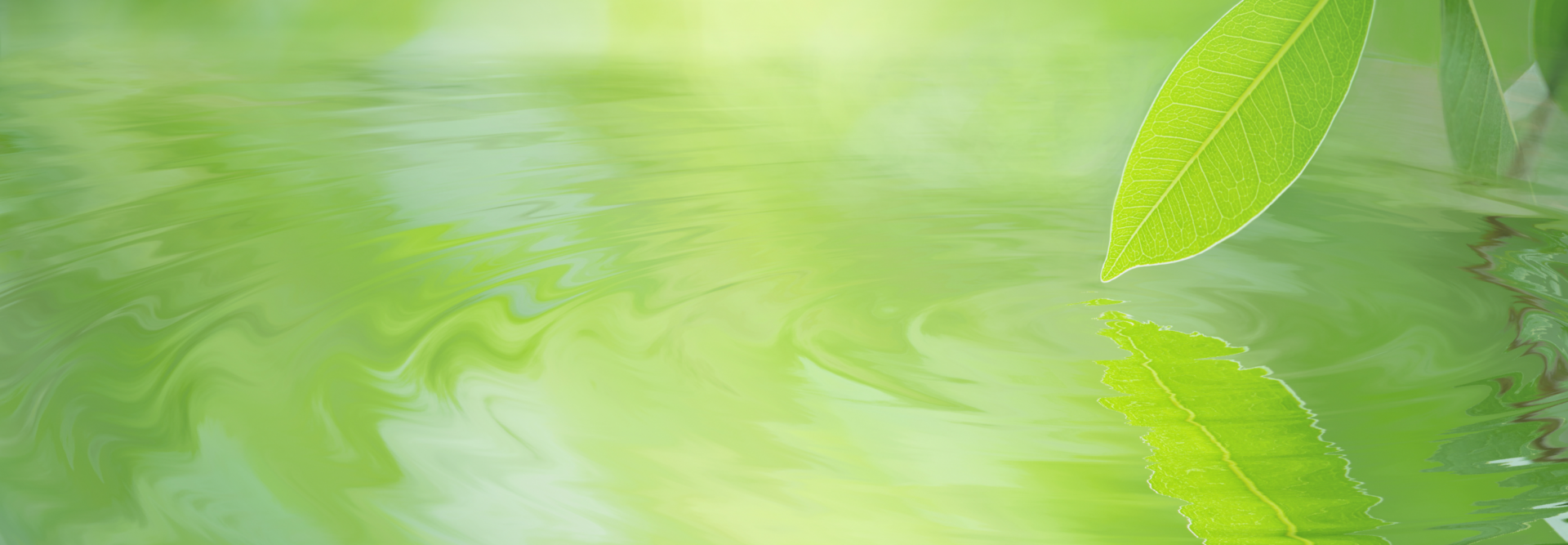 ZEN-Shinについて | ZEN-Shin
